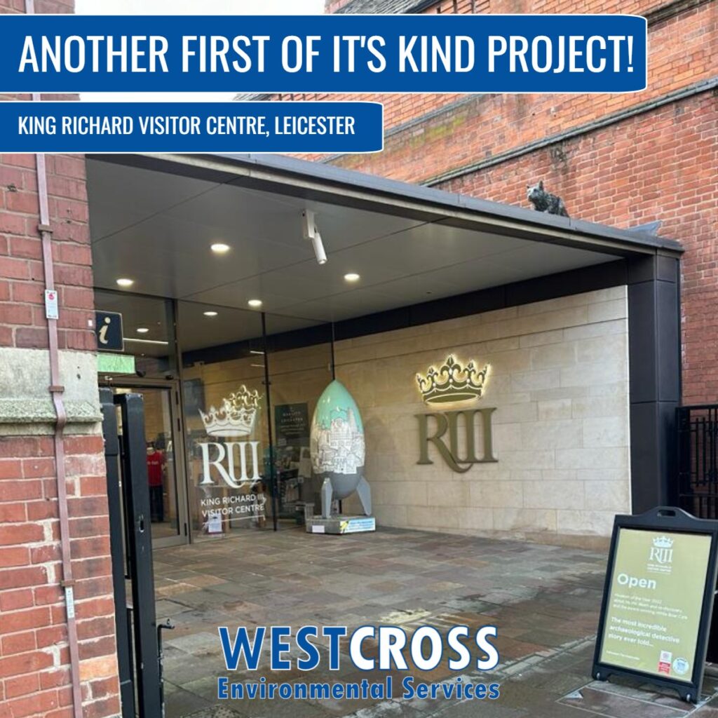 A first of its kind project working alongside an archaeological team at ...